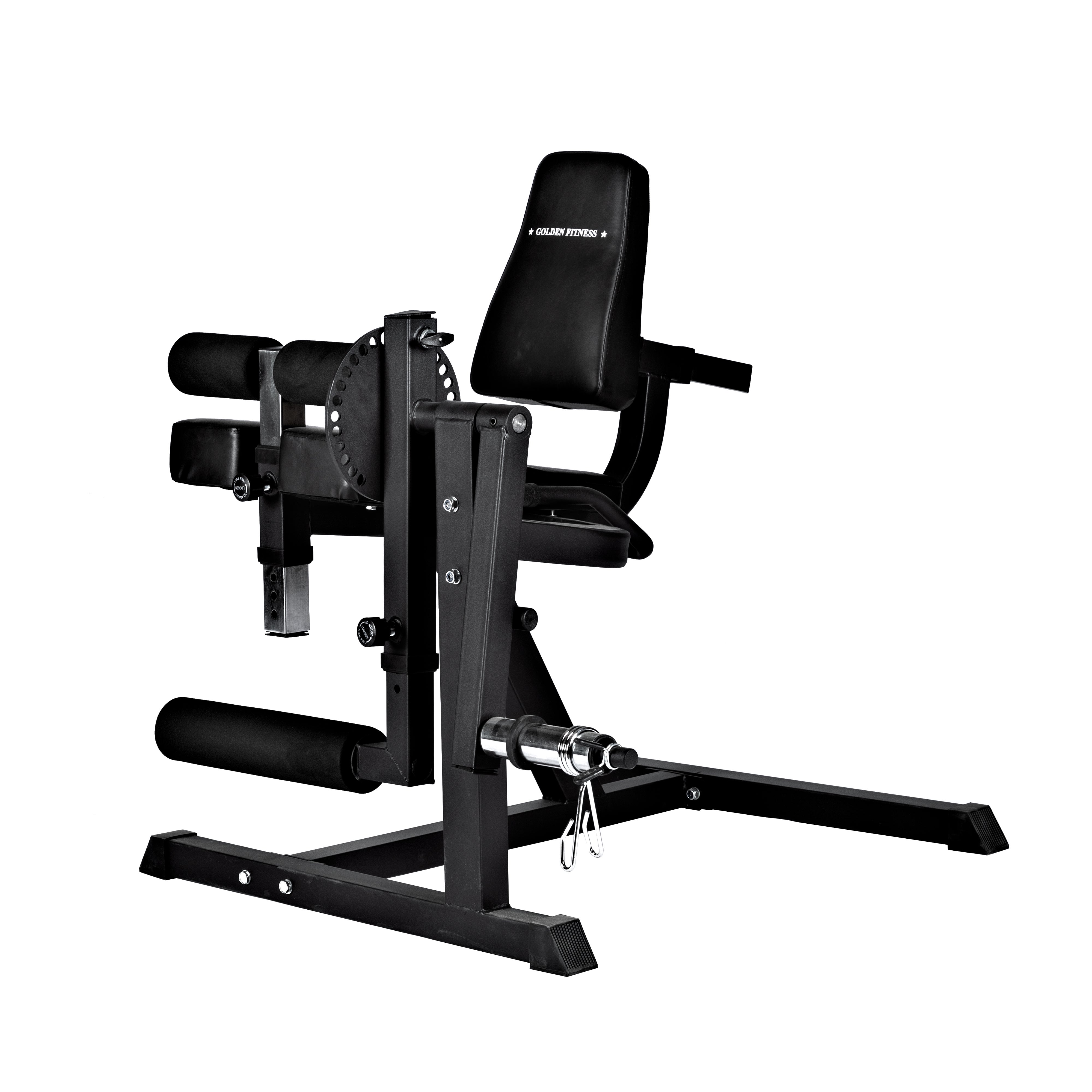 leg extension and hamstring leg curl machine | Golden Fitness